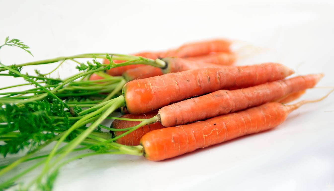 10 Tipos de Cenoura que Você Precisa Conhecer - Dicas de Ouro do ...
